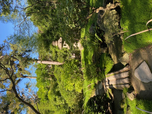 Les seniors au Musée Albert-Kahn | Ville du Chesnay-Rocquencourt